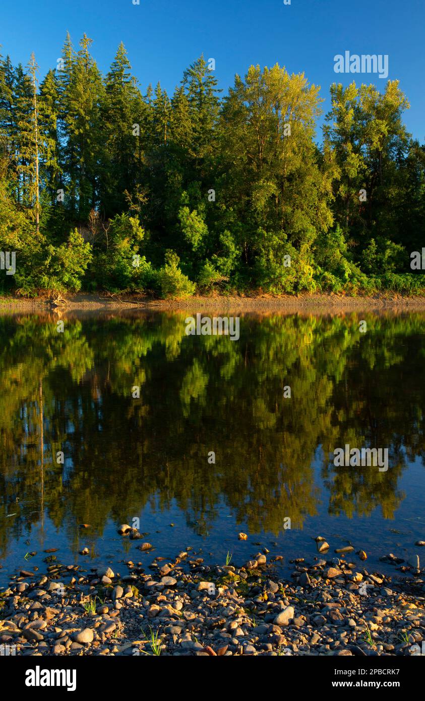 Willamette River, Willamette Mission State Park, Oregon Stock Photo - Alamy