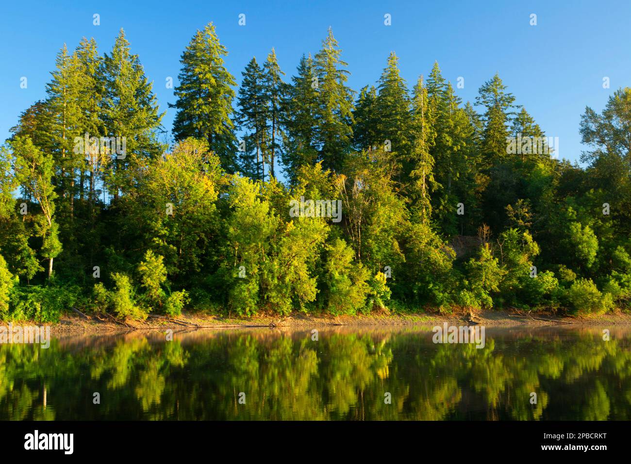 Willamette River, Willamette Mission State Park, Oregon Stock Photo - Alamy