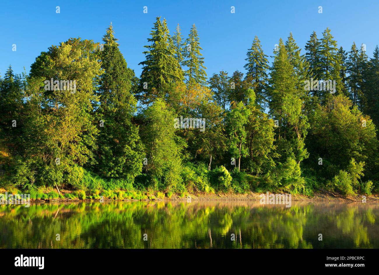 Willamette River, Willamette Mission State Park, Oregon Stock Photo - Alamy