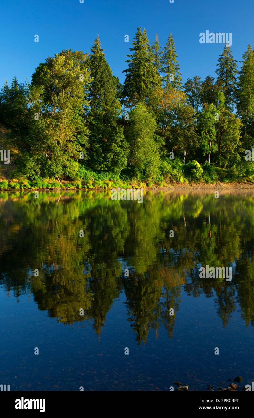 Willamette River, Willamette Mission State Park, Oregon Stock Photo - Alamy