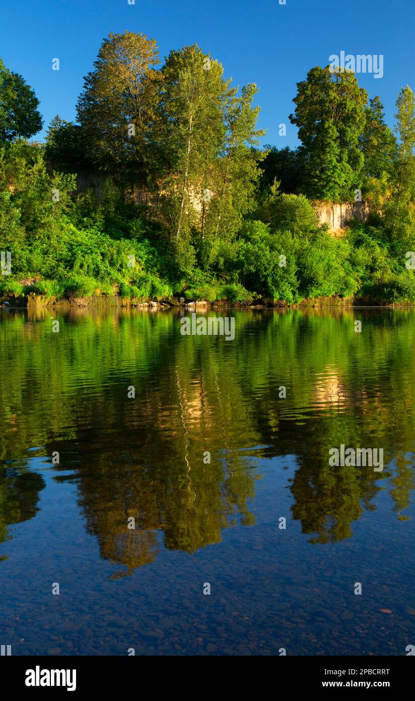 Willamette River, Willamette Mission State Park, Oregon Stock Photo - Alamy