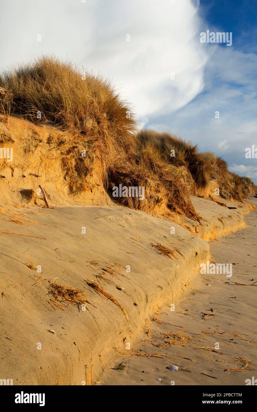South Jetty Beach, Oregon Dunes National Recreation Area, Siuslaw ...