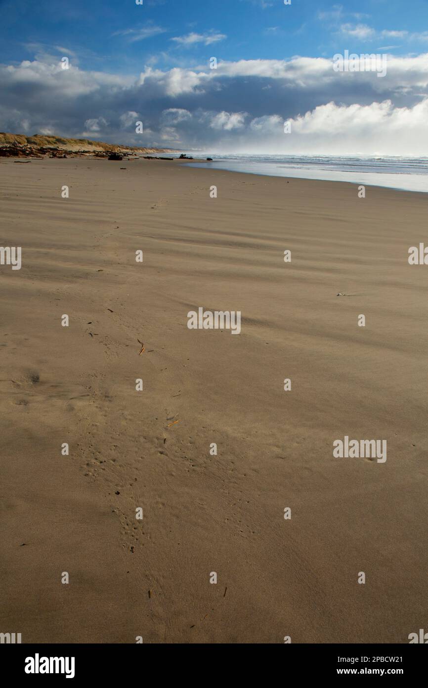 South Jetty Beach, Oregon Dunes National Recreation Area, Siuslaw ...