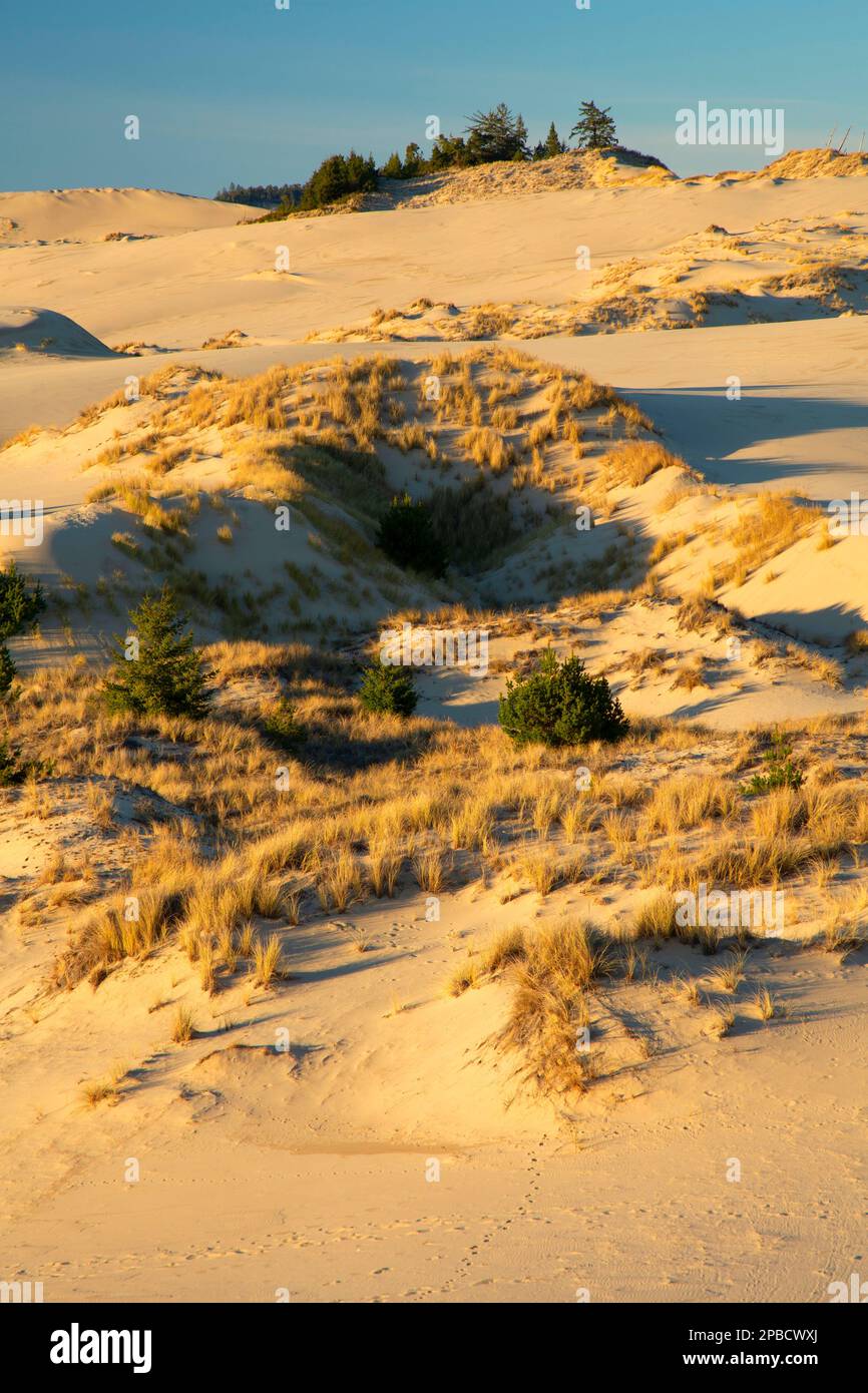 Umpqua Dunes, Umpqua Dunes Scenic Area, Oregon Dunes National ...