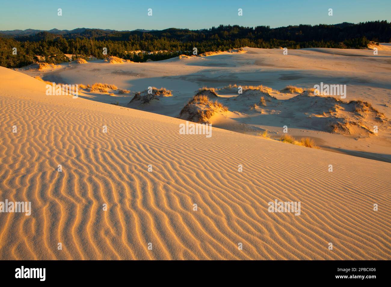 Umpqua Dunes, Umpqua Dunes Scenic Area, Oregon Dunes National ...