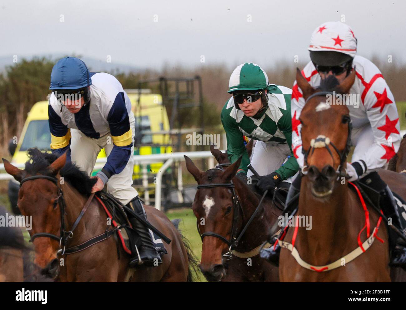 2023 Down Royal Racecourse Lisburn Northern Ireland. 24 January 2023 ...