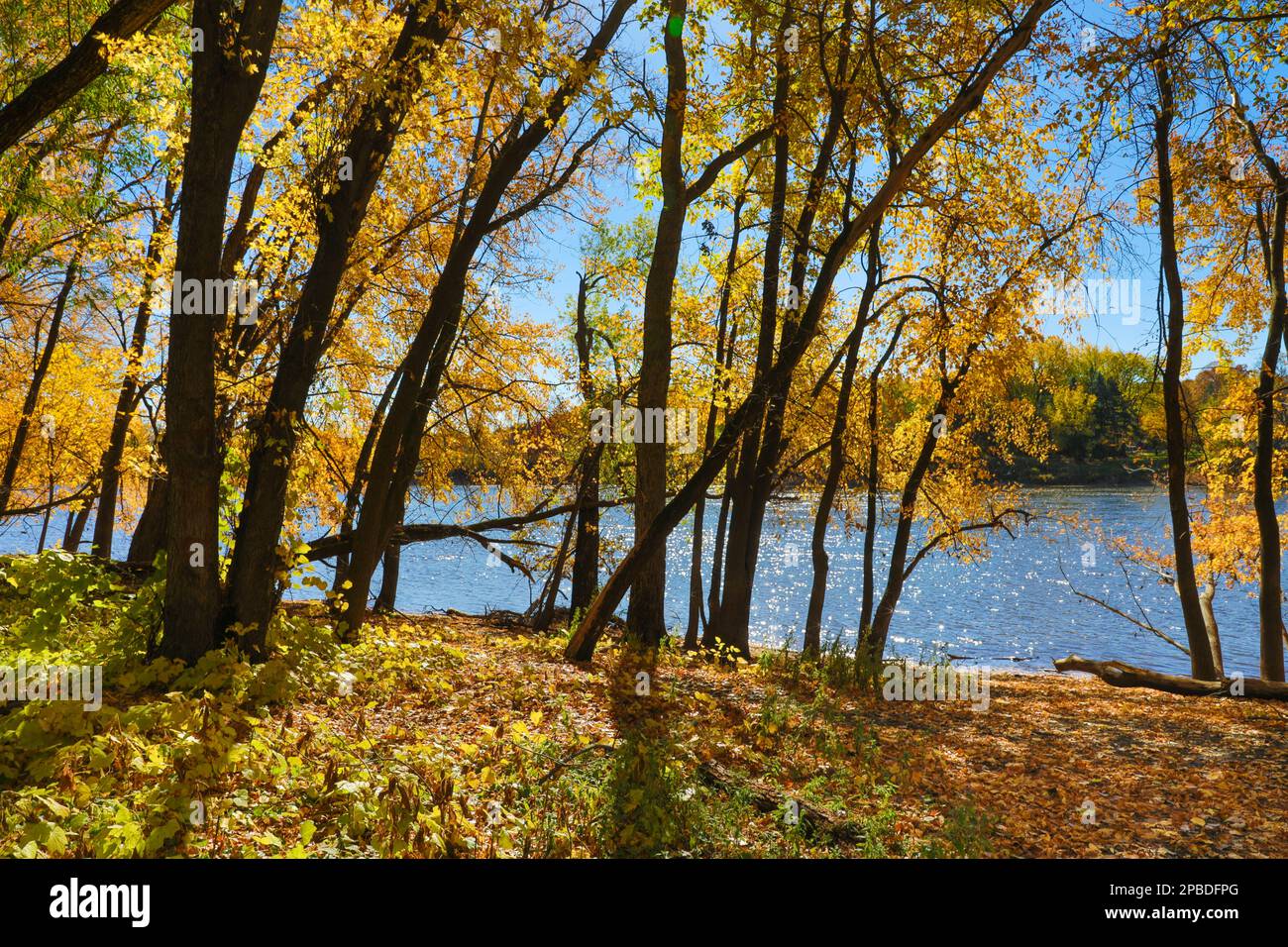Fall Colors on the Mississippi River near Minneapolis Stock Photo - Alamy