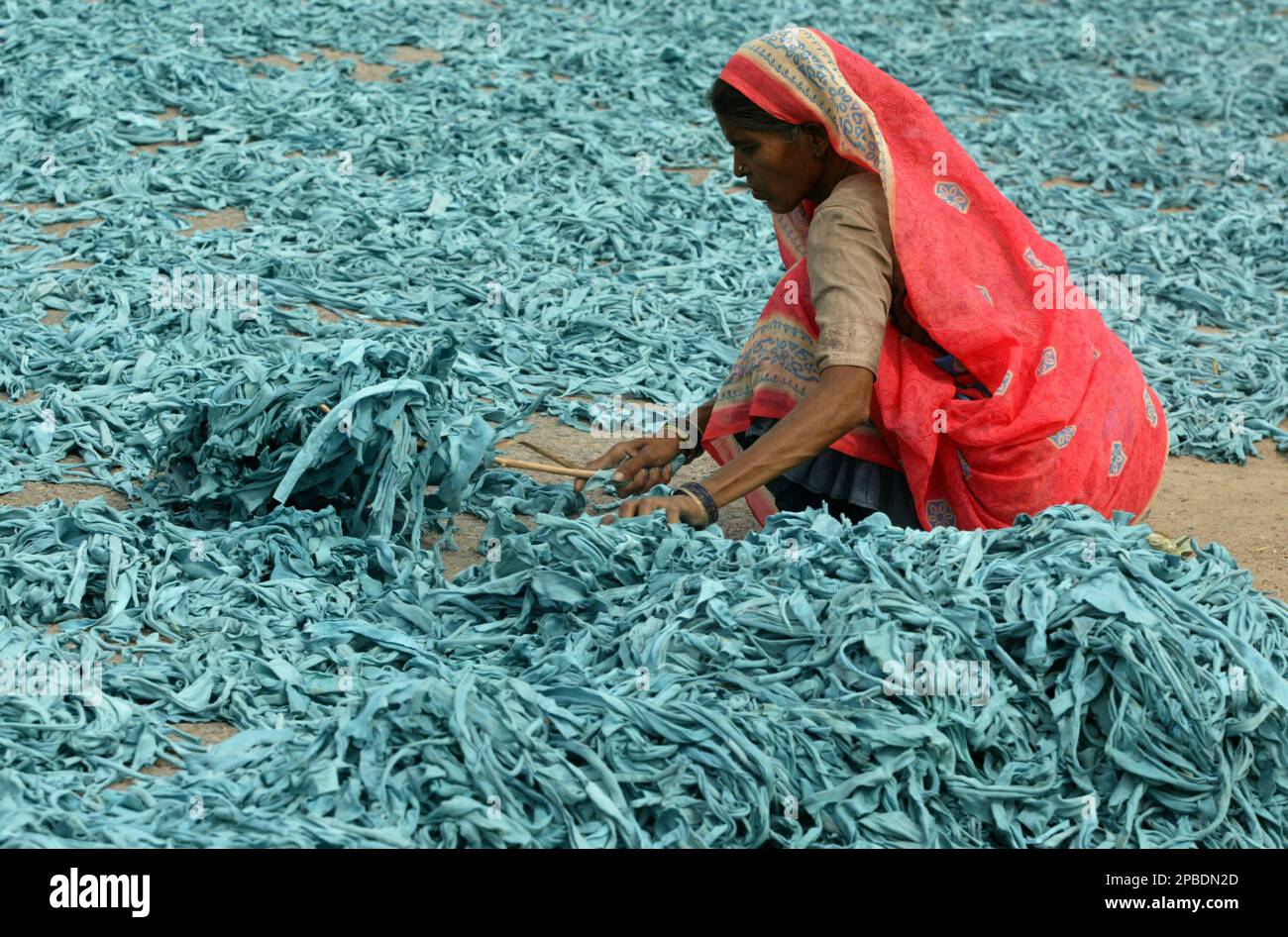 An Indian woman worker dries shredded clothes, a byproduct of the ...