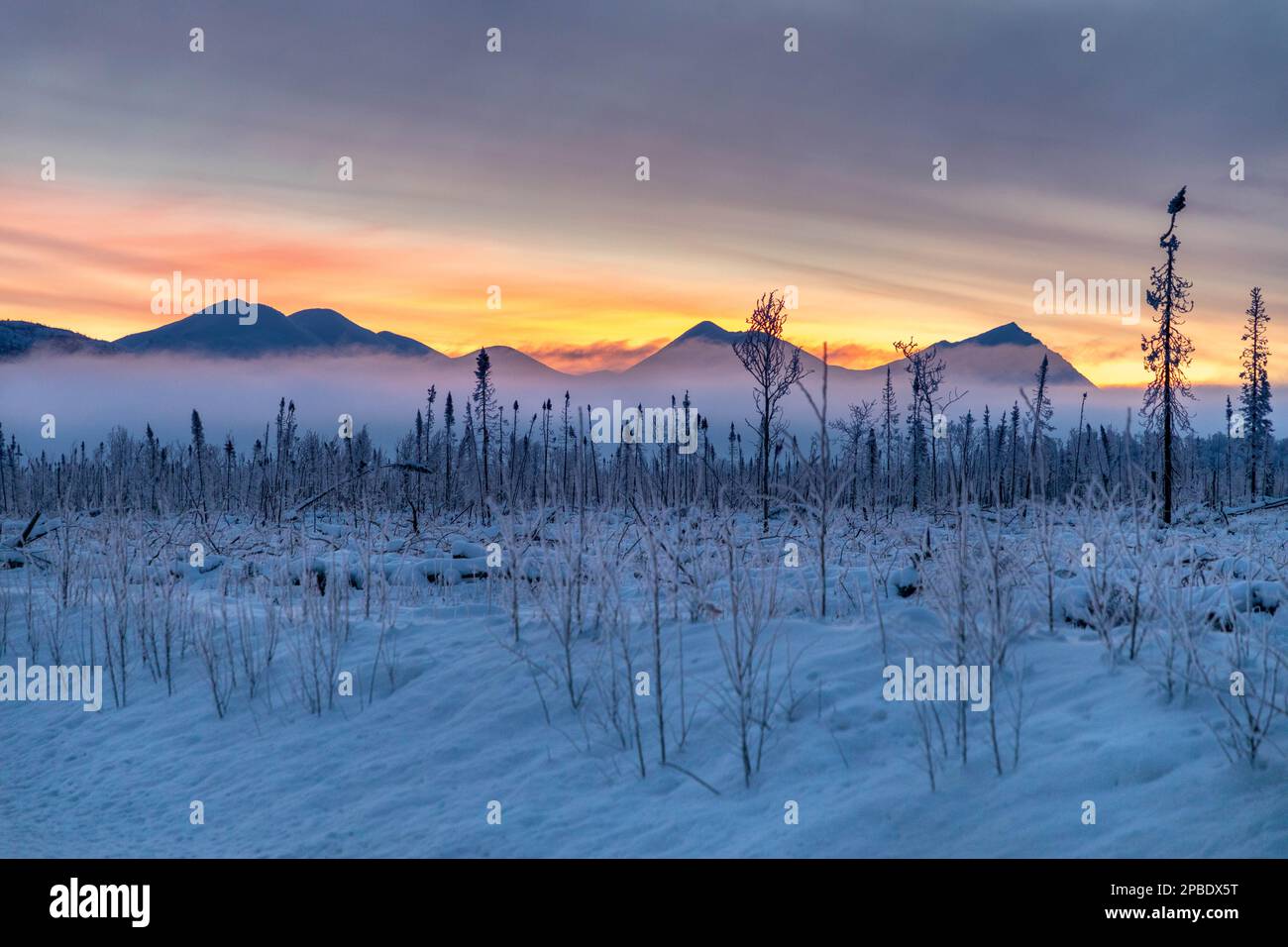 Alaskan mountain range hi-res stock photography and images - Alamy