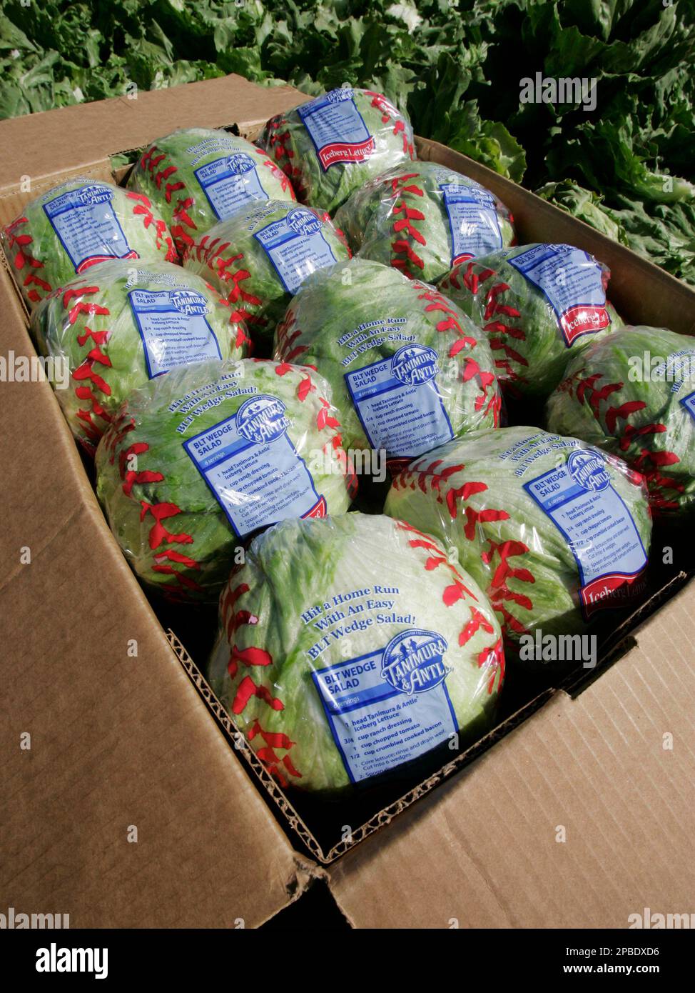 A box of lettuce is packed in Salinas, Calif., Monday, June 4, 2007 ...