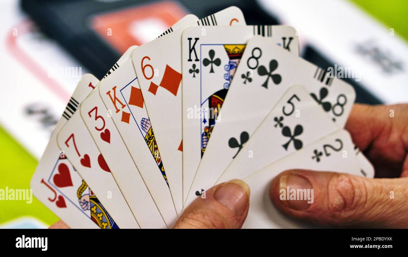 Playing cards in a man's hand during a bridge game Stock Photo - Alamy
