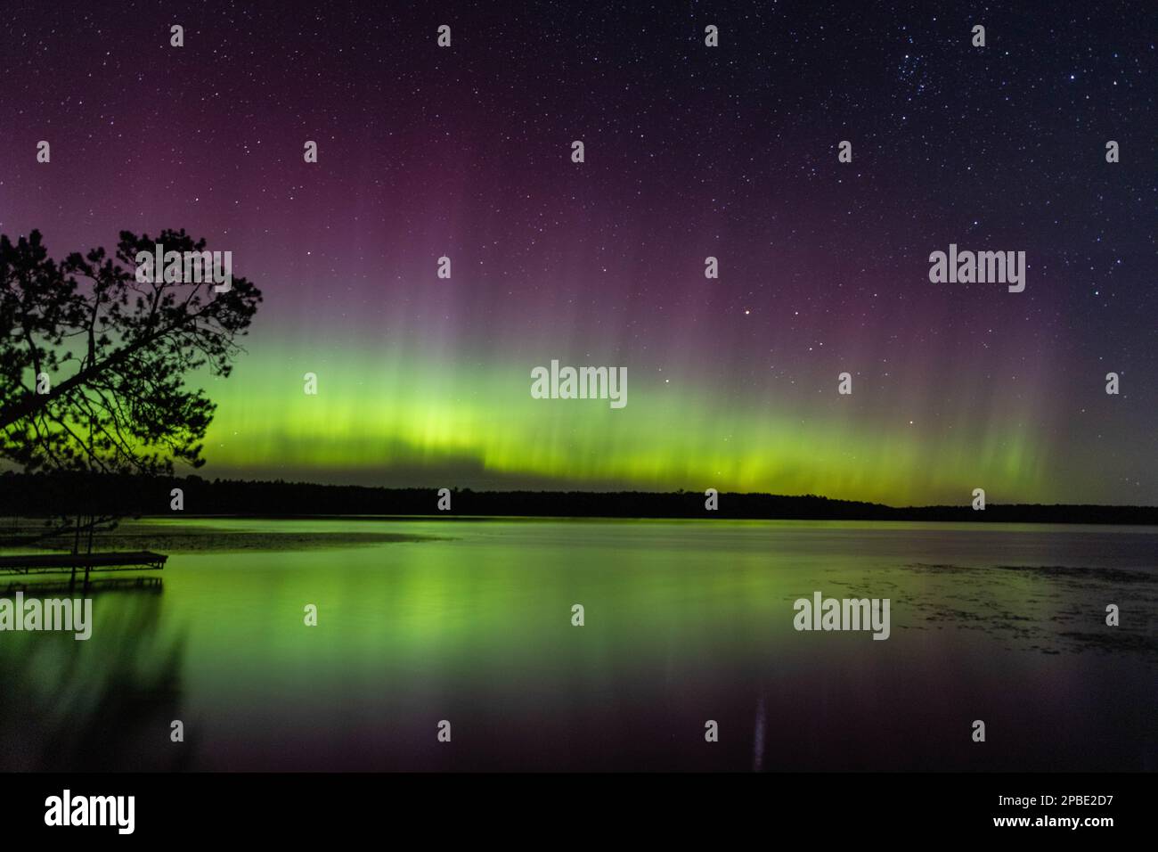 Northern Lights erupt in brilliant Aurora sky over Northern Minnesota ...