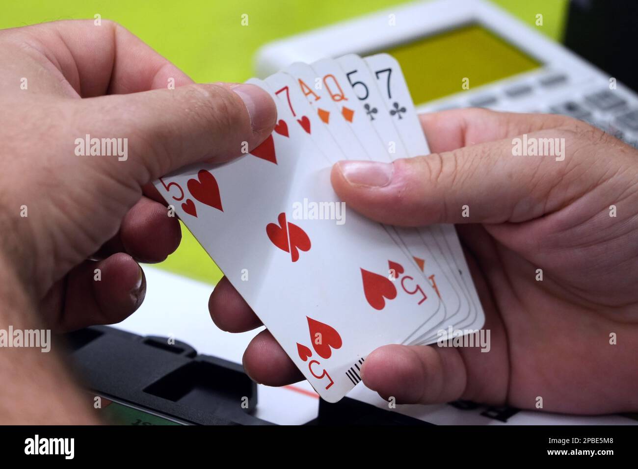 Playing cards in a man's hand during a bridge game Stock Photo - Alamy