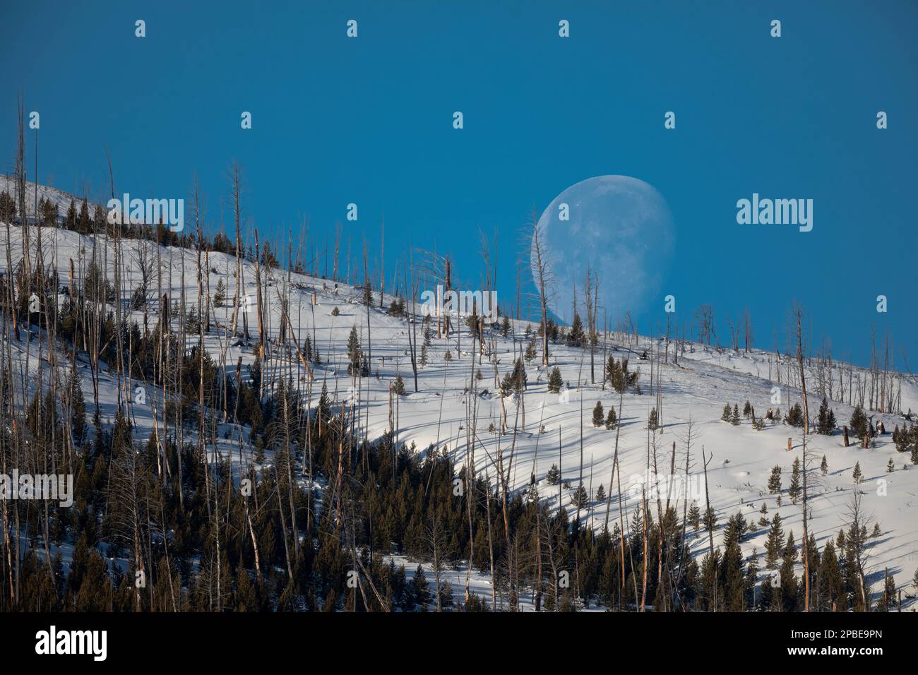 The moon slips below a frozen mountain ridge at Yellowstone National ...