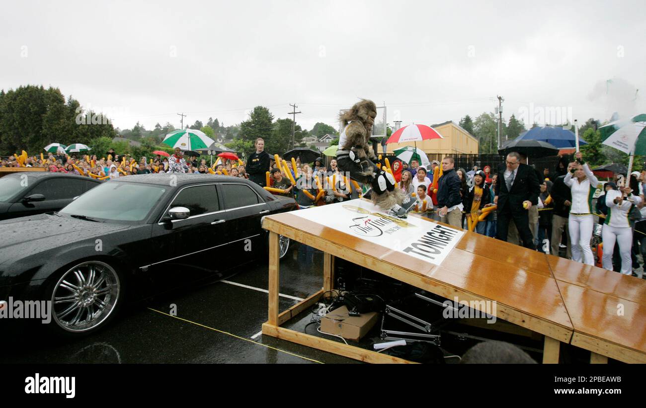 Squatch, the Seattle SuperSonics mascot, makes a ramp jump on in-line ...