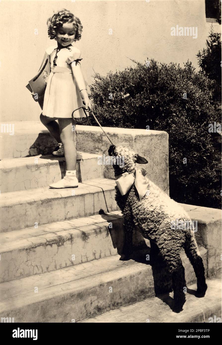 1937 ca : The child actress SHIRLEY TEMPLE ( born Santa Monica , CA ...