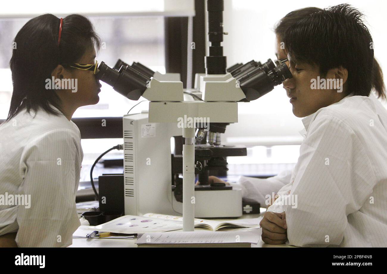 Student medical technologists look through microscopes as they study ...