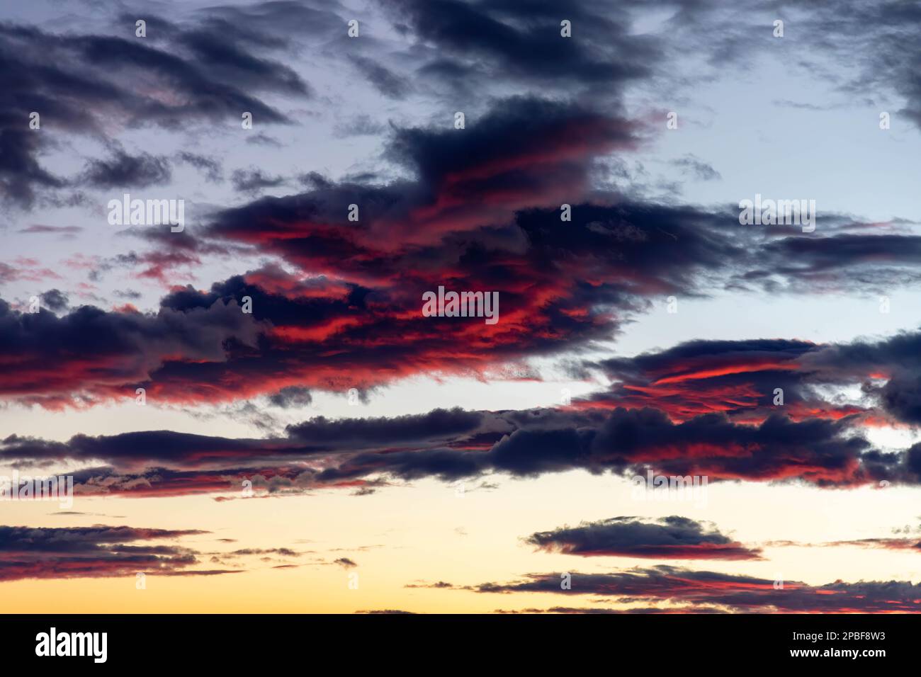 Brilliant clouds reflecting magenta colors from the sun as it gets ...