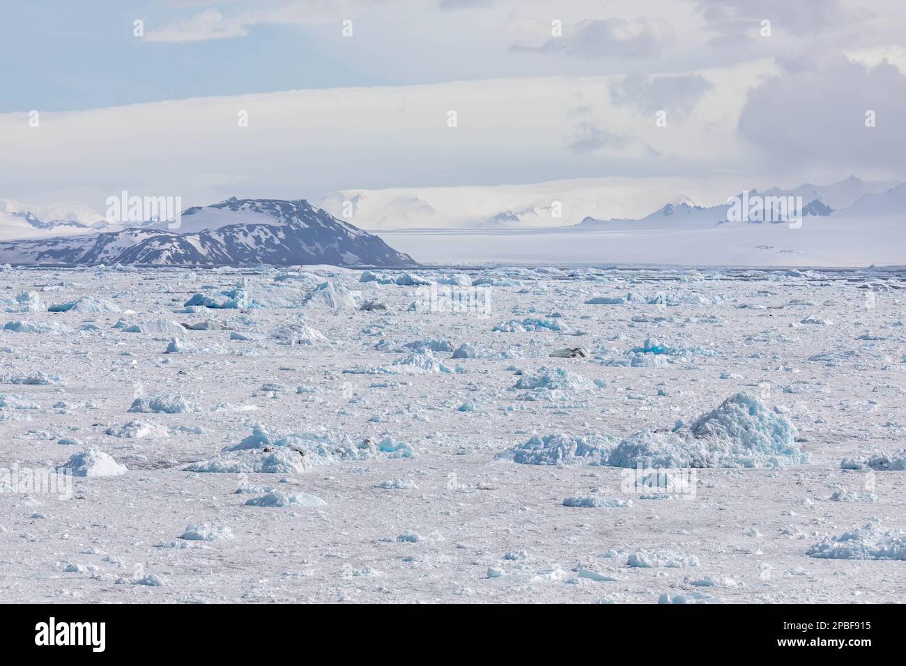 Iceflow covers the sea in Neko Harbor Antarctica Stock Photo - Alamy