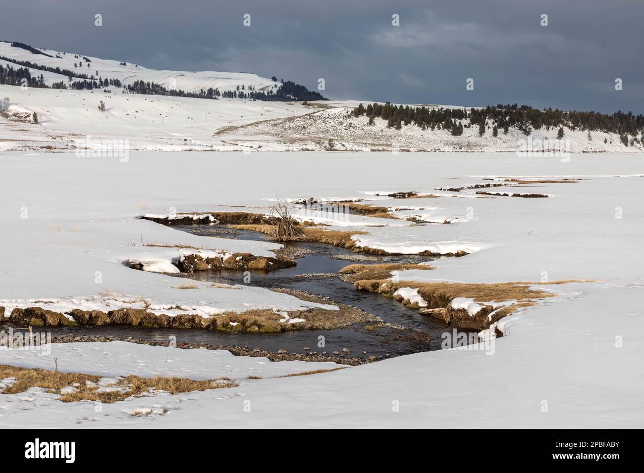 A Meandering Creek weaves through the Lamar Valley at Yellowstone ...