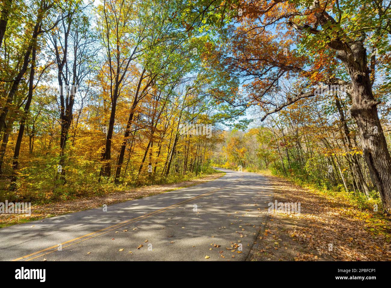 Saint croix state forest hi-res stock photography and images - Alamy