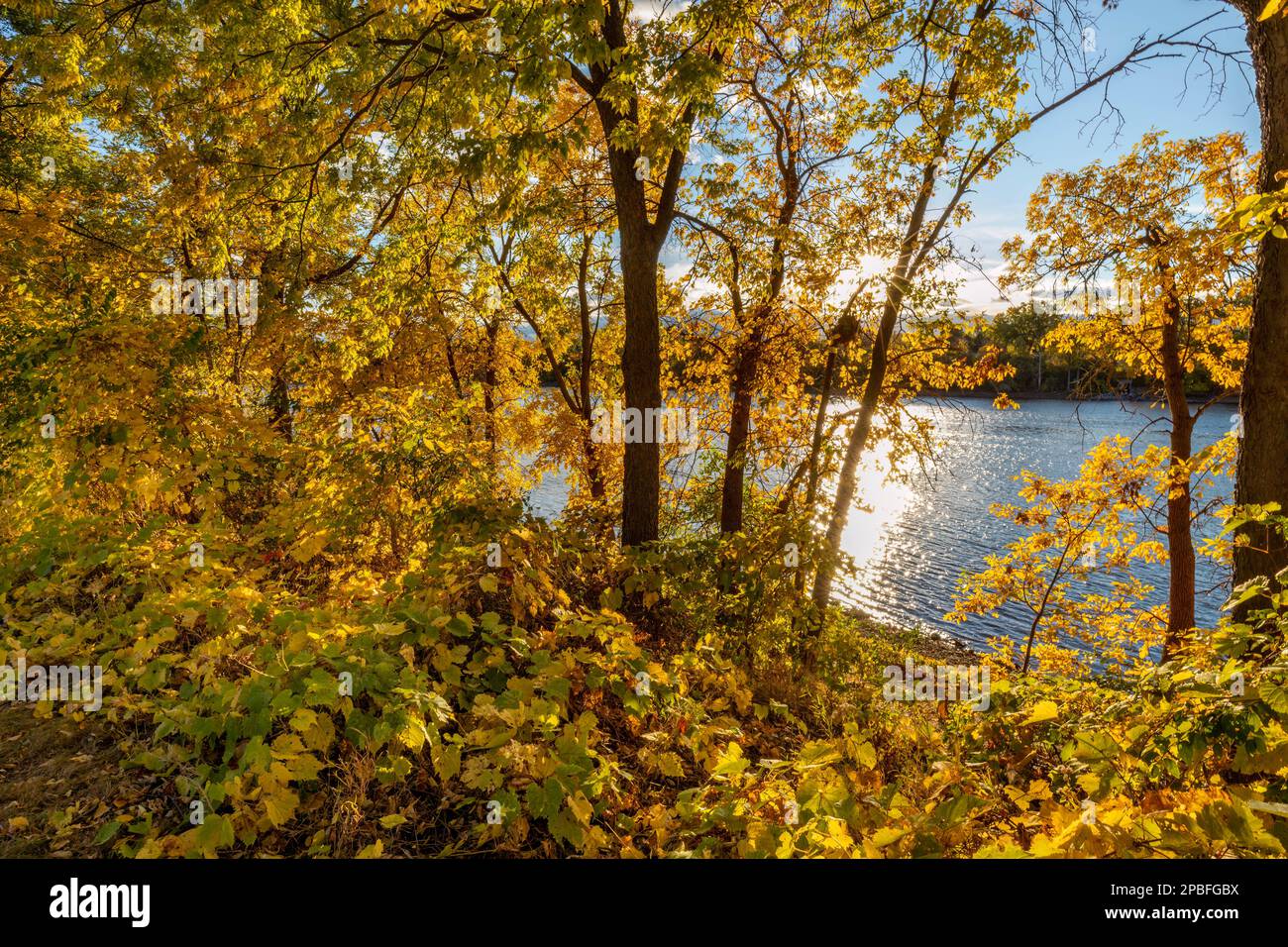 A quiet park scene in Fridley Minnesota along the Mississippi River ...