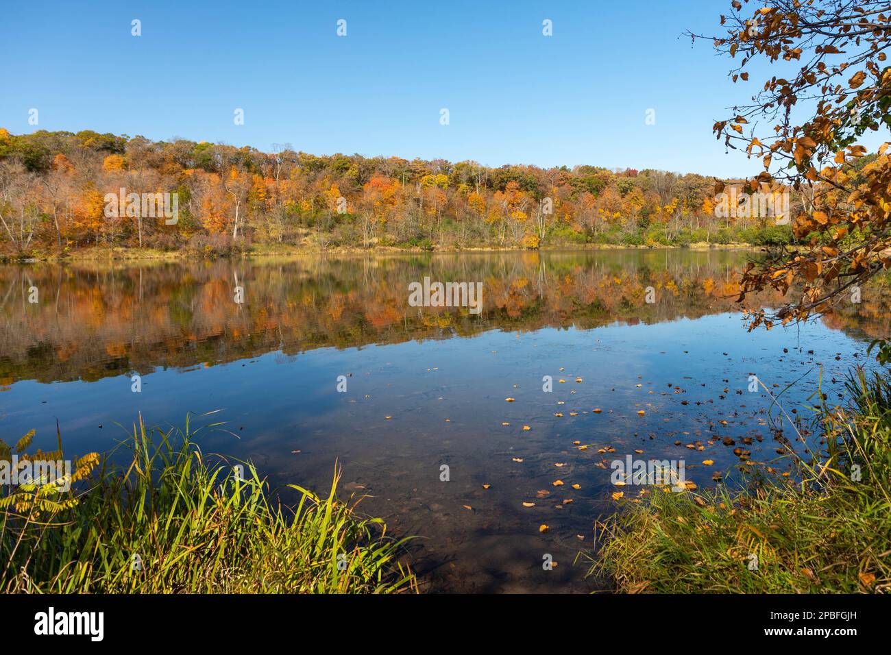 Alice Lake autumn foliage and colors at William O'Brien State Park in ...
