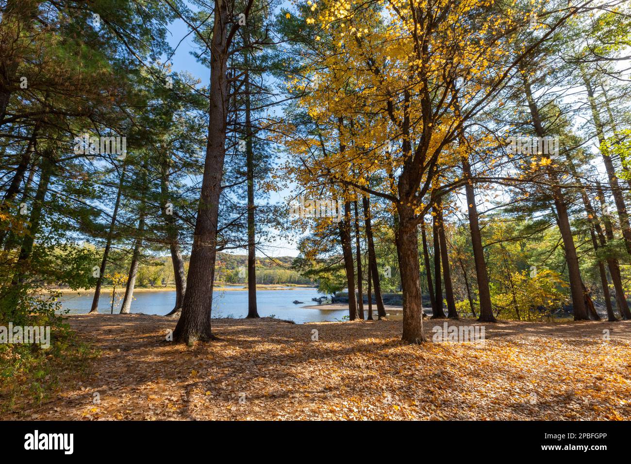 Marine on the st croix hi-res stock photography and images - Alamy