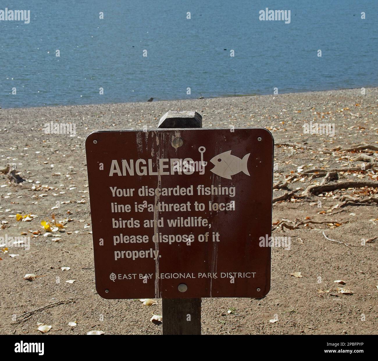 Anglers your discarded fishing line is a threat to local birds and ...