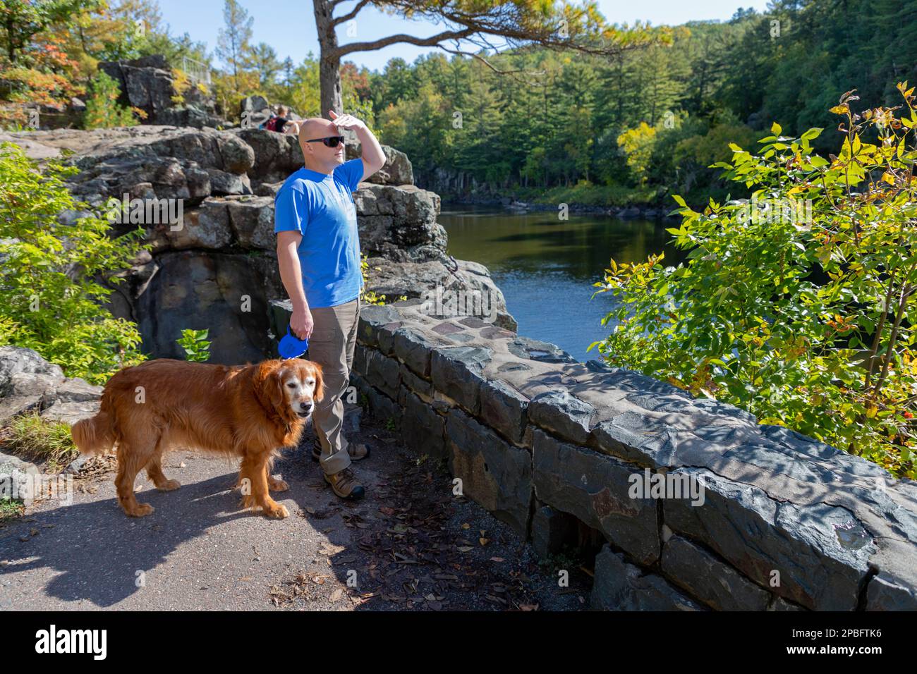 Handsome man and golden retriever dog enjoy the autumn colors on the ...