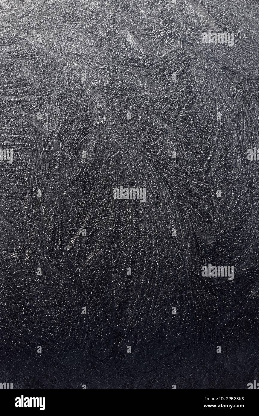Frost with feather like patterns on the hood of my car in early March ...