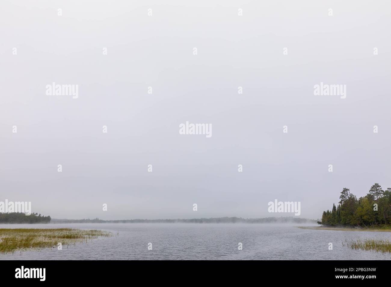 Lake Scene with Trees for Magazine Newsletter or Advertising Layout ...