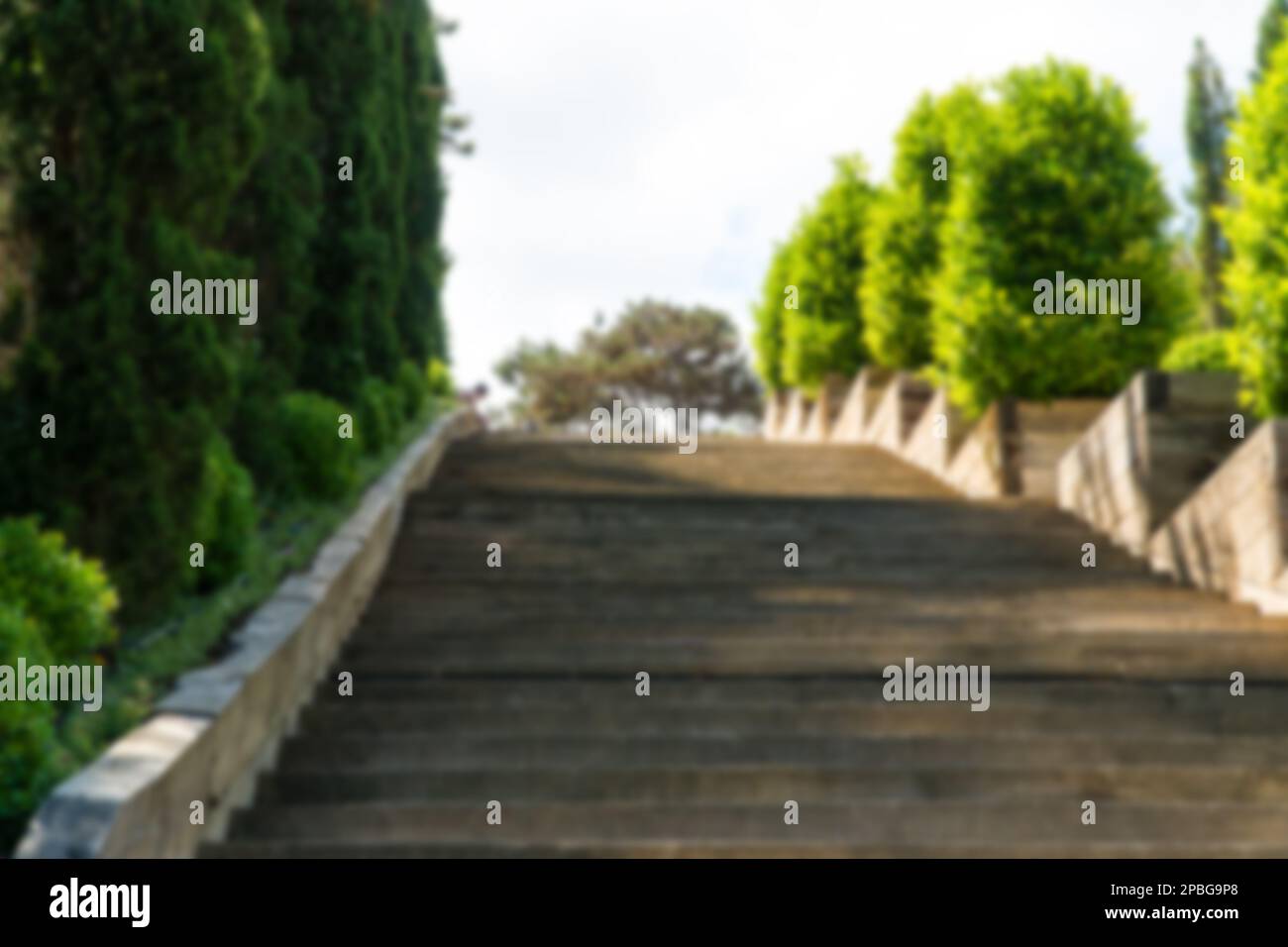 Walking path in a forest. Carbon neutral concept. Carbon net zero ...