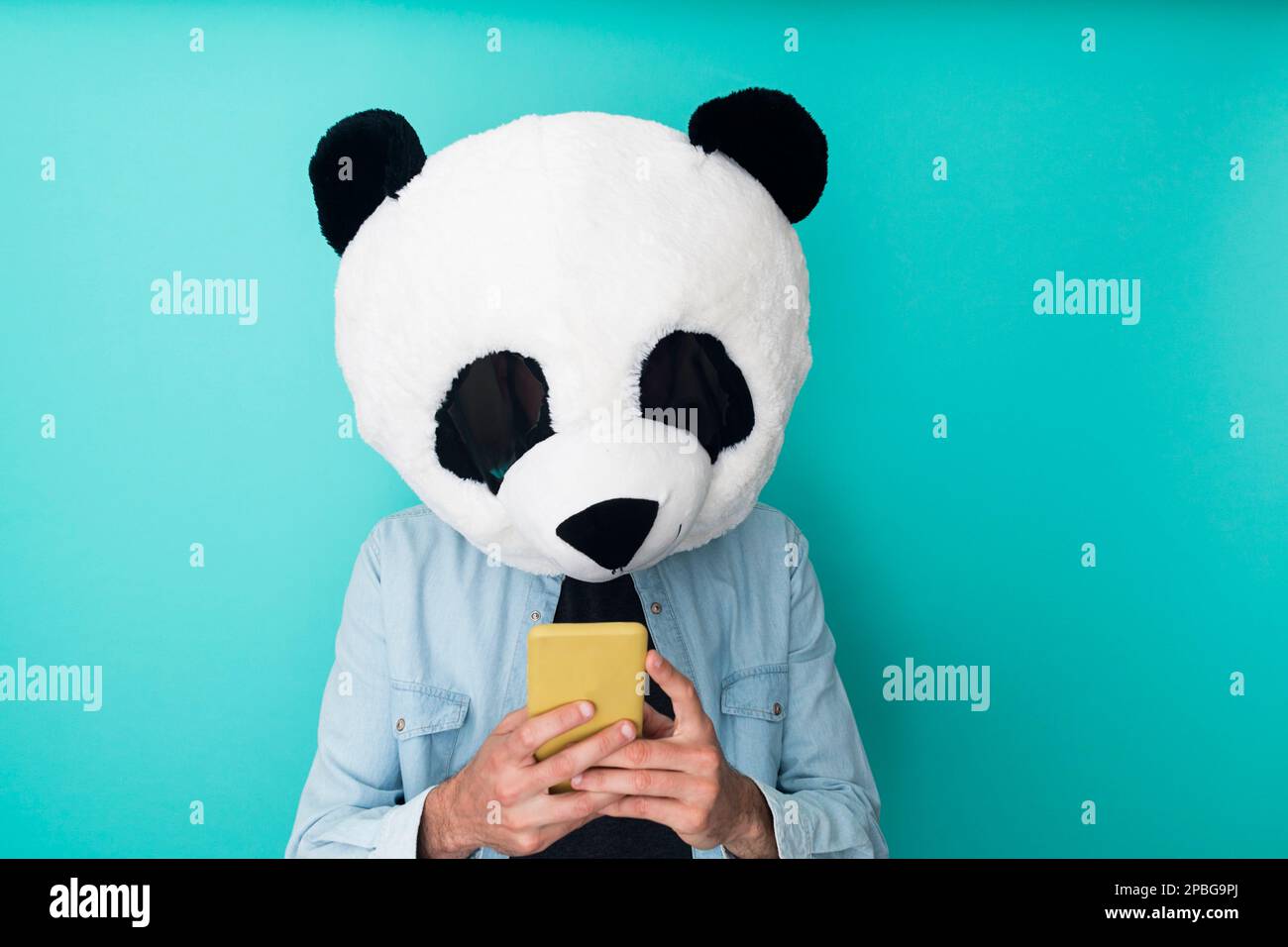 Portrait of isolated man wearing panda mask on aquamarine background ...