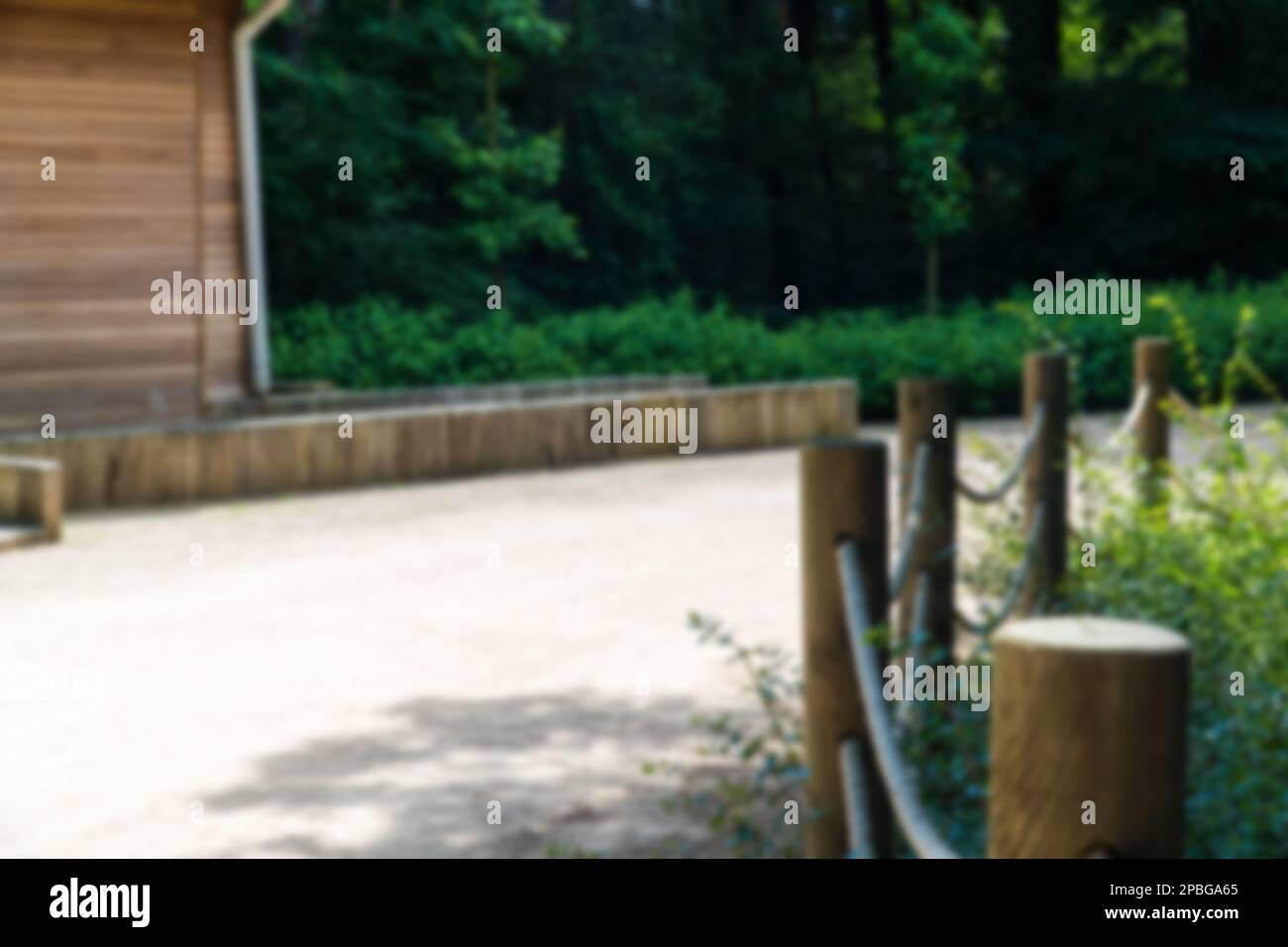 Walking path in a forest. Carbon neutral concept. Carbon net zero ...