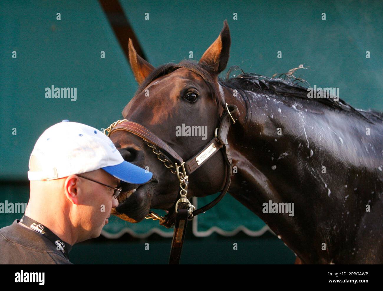 Street Sense toys with the bill of Paul Rutherford's hat as get gets a ...