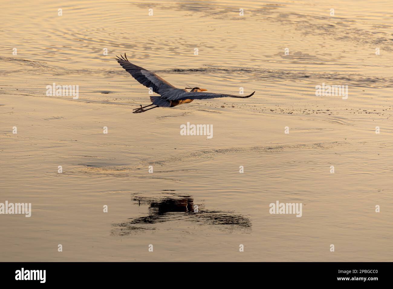 Fly over water stream river hi-res stock photography and images - Alamy