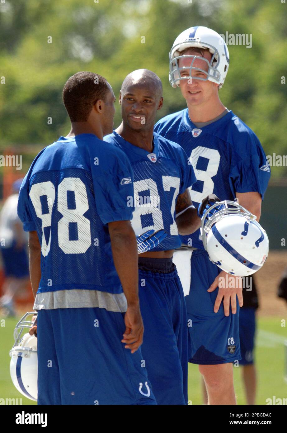 Reggie Wayne Wallpaper