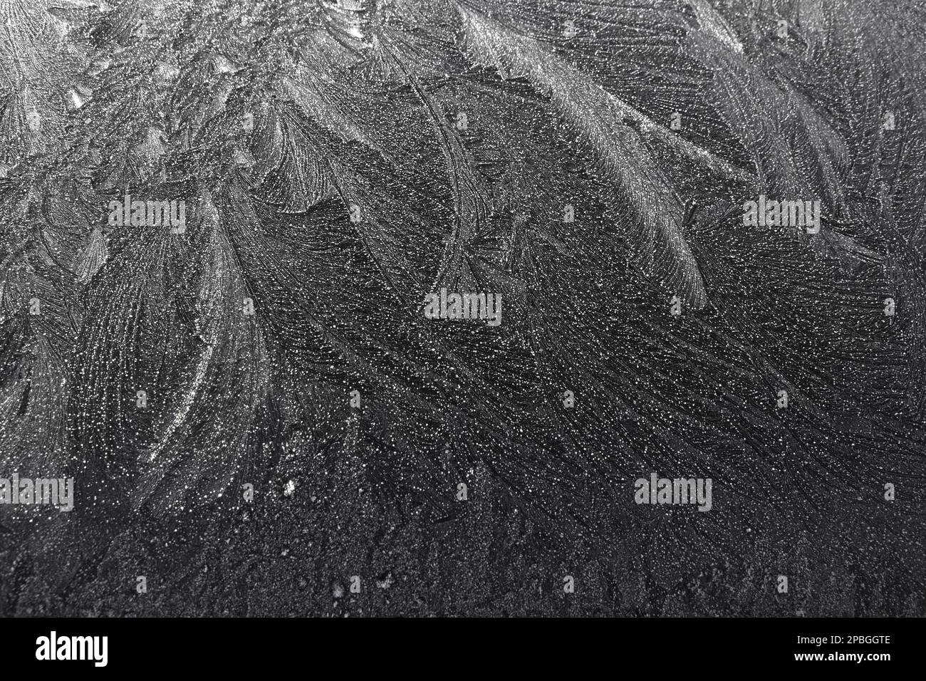 Frost with feather like patterns on the hood of my car in early March ...