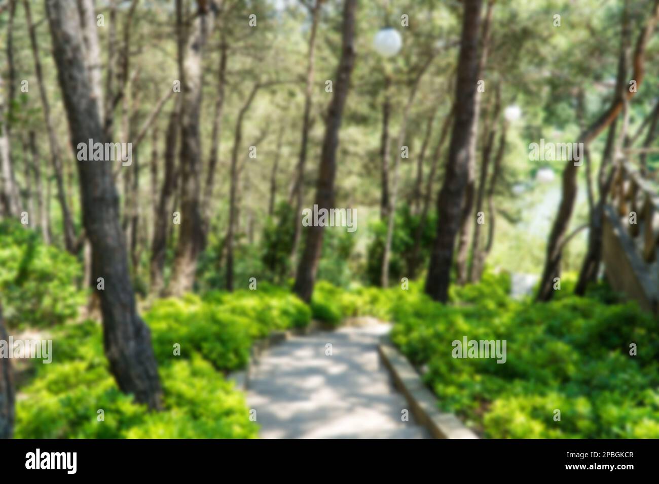 Walking path in a forest. Carbon neutral concept. Carbon net zero ...