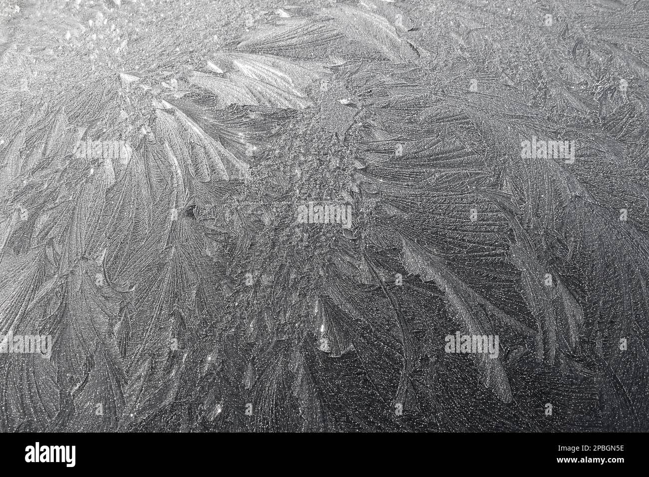 Frost with feather like patterns on the hood of my car in early March ...