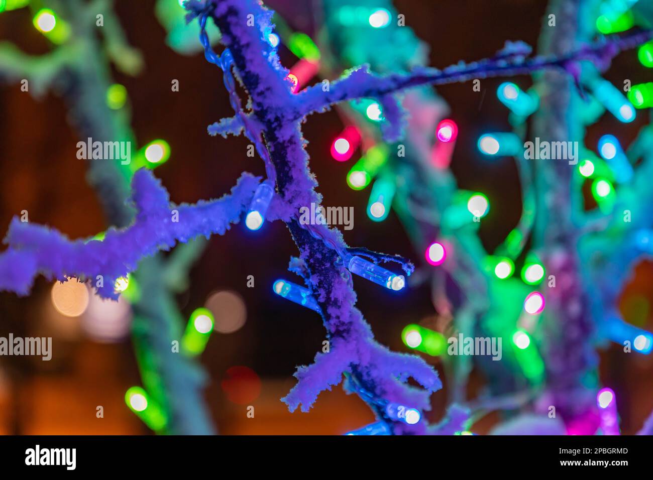 Colorful Christmas holiday lights adorn a tree at night in the darkness ...