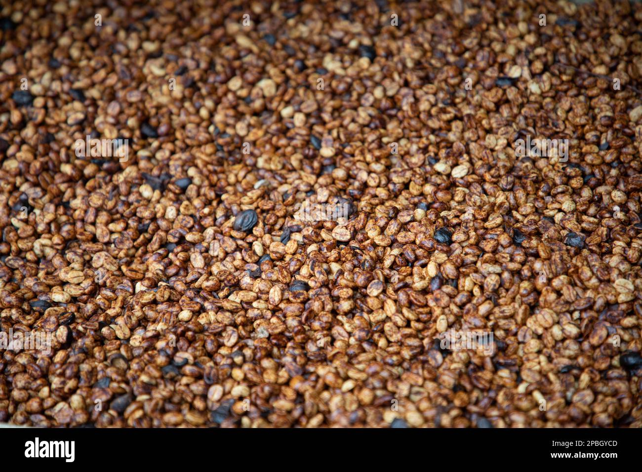 Coffee bean textures with closeup look of coffee beans that can be made ...