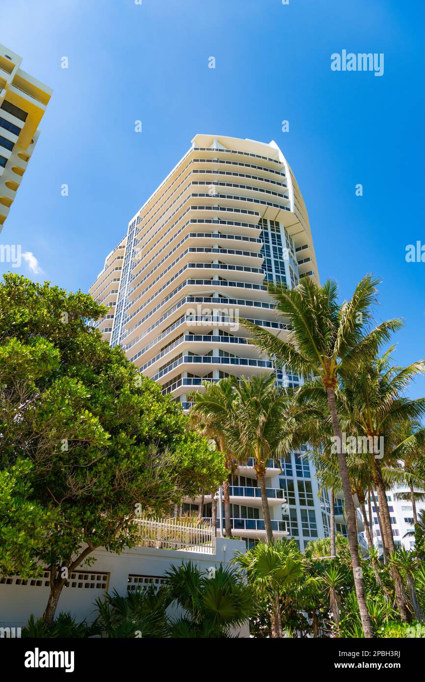 skyscraper facade architecture in florida with palms. skyscraper facade ...
