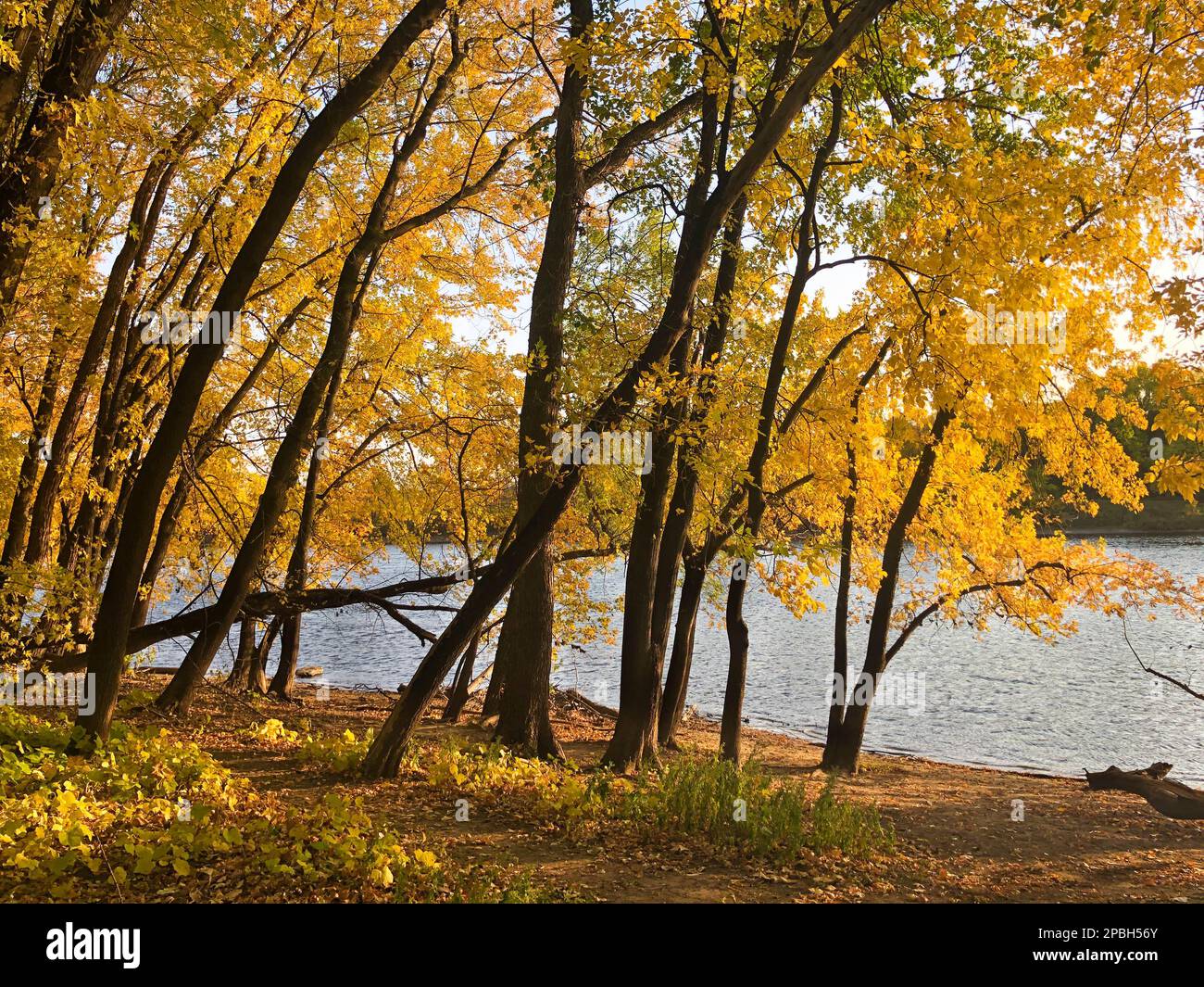 Mississippi river fall minnesota hi-res stock photography and images ...