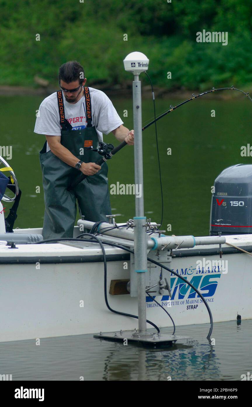 Matt Balazik, a Virginia Commonwealth University graduate student ...