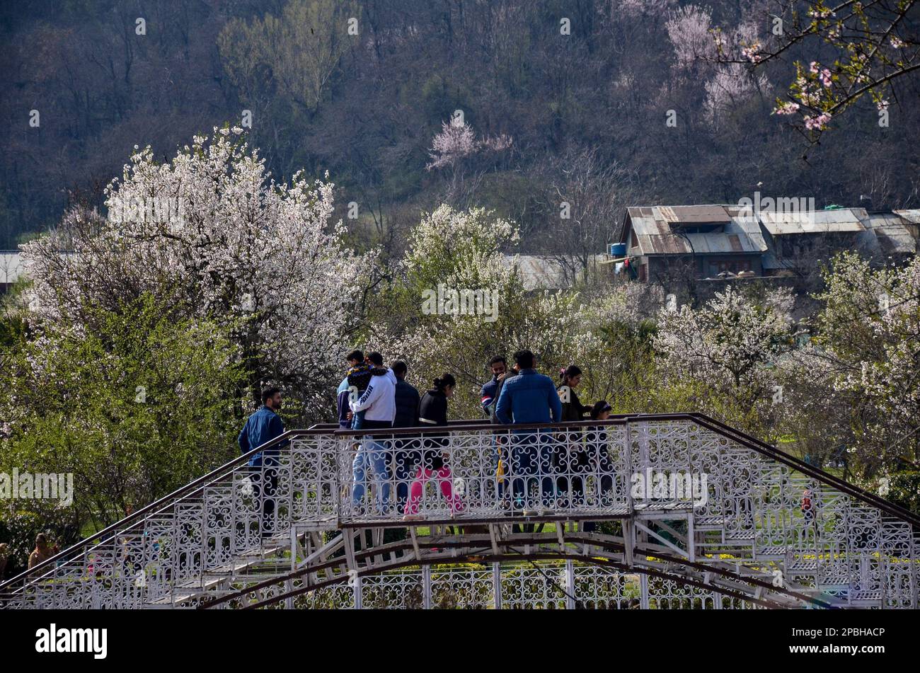 Srinagar, India. 12th Mar, 2023. Visitors walk along the foot-bridge ...
