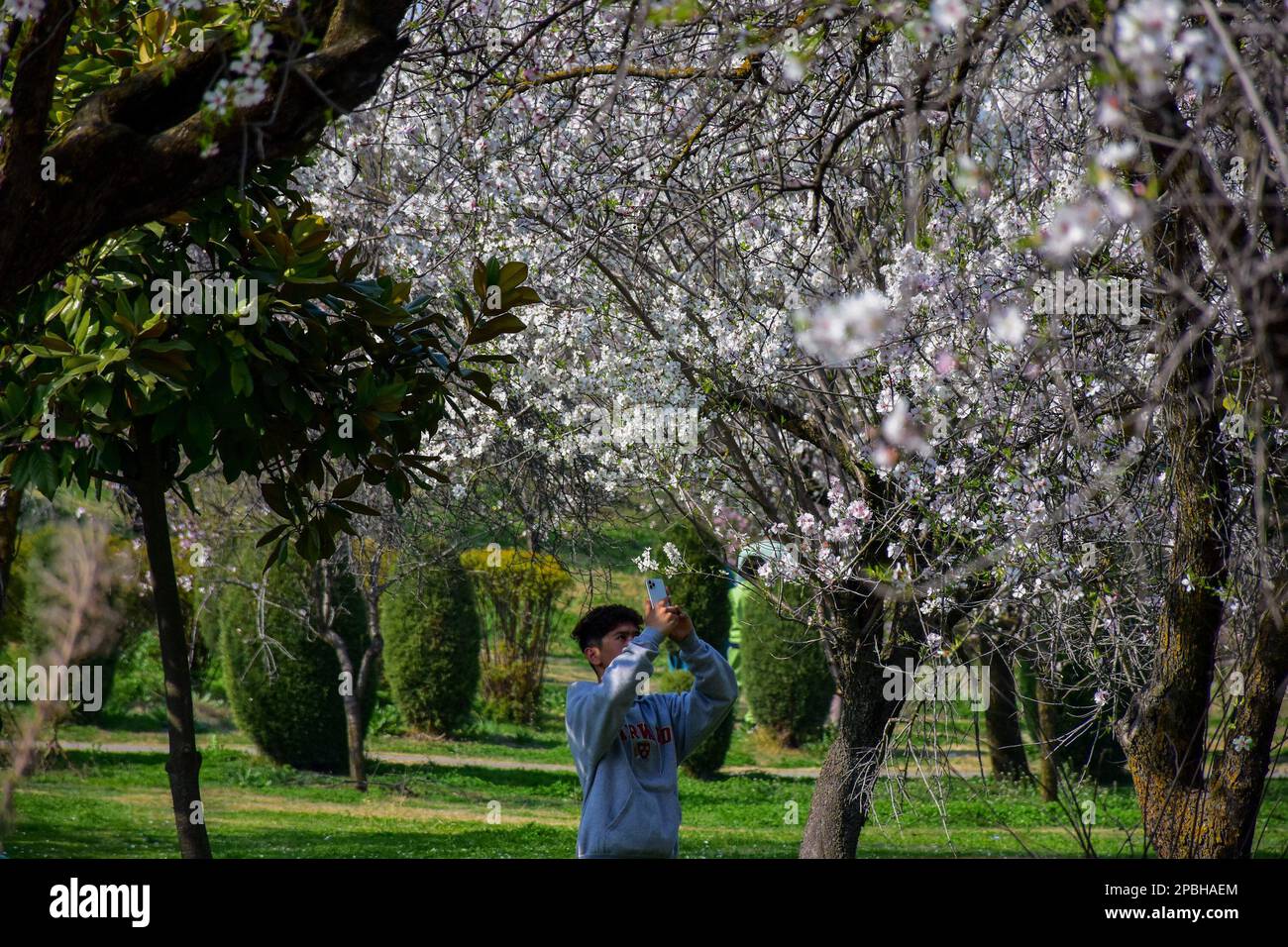 Srinagar, India. 12th Mar, 2023. A young boy takes pictures inside the ...