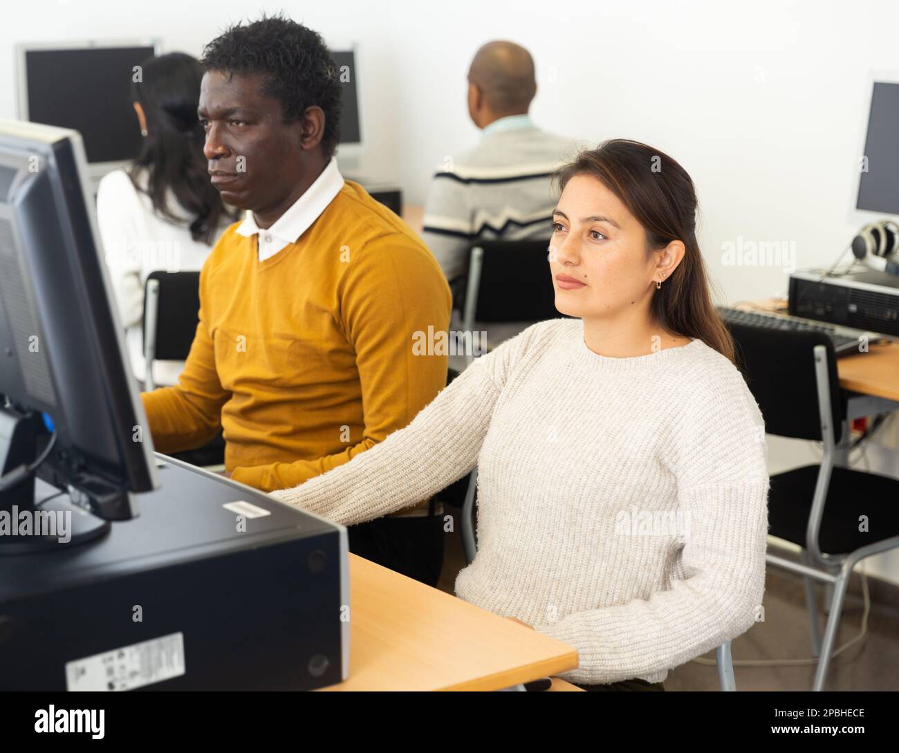 Young adult woman studying in computer class Stock Photo - Alamy