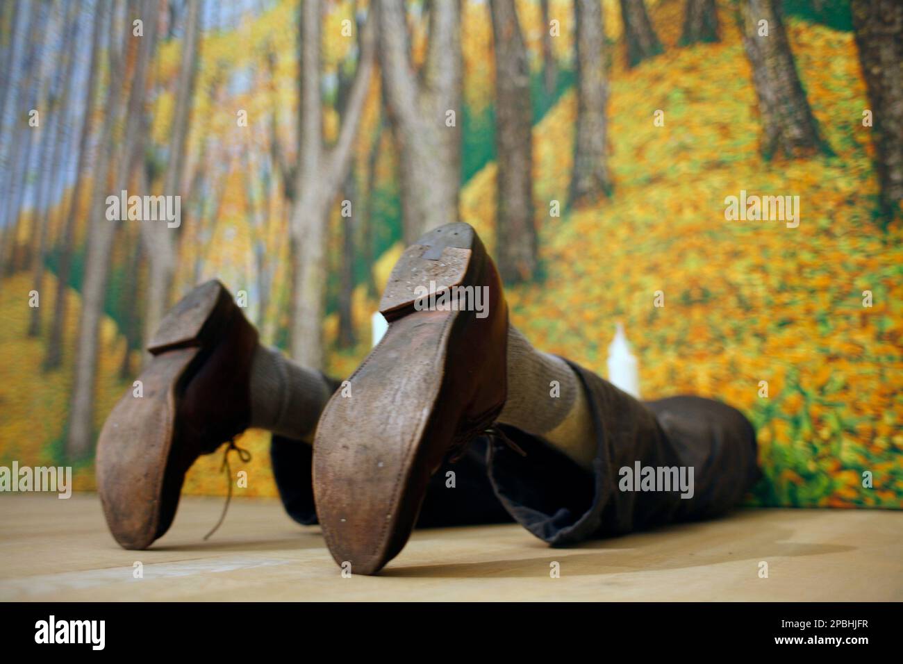 The artwork 'Forest', 1991, of US American artist Robert Gober ...